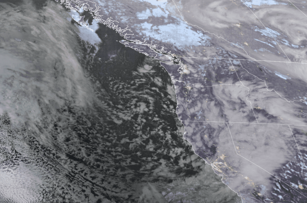 It has finally snowed in Seattle this year… for 34 minutes (so far ...